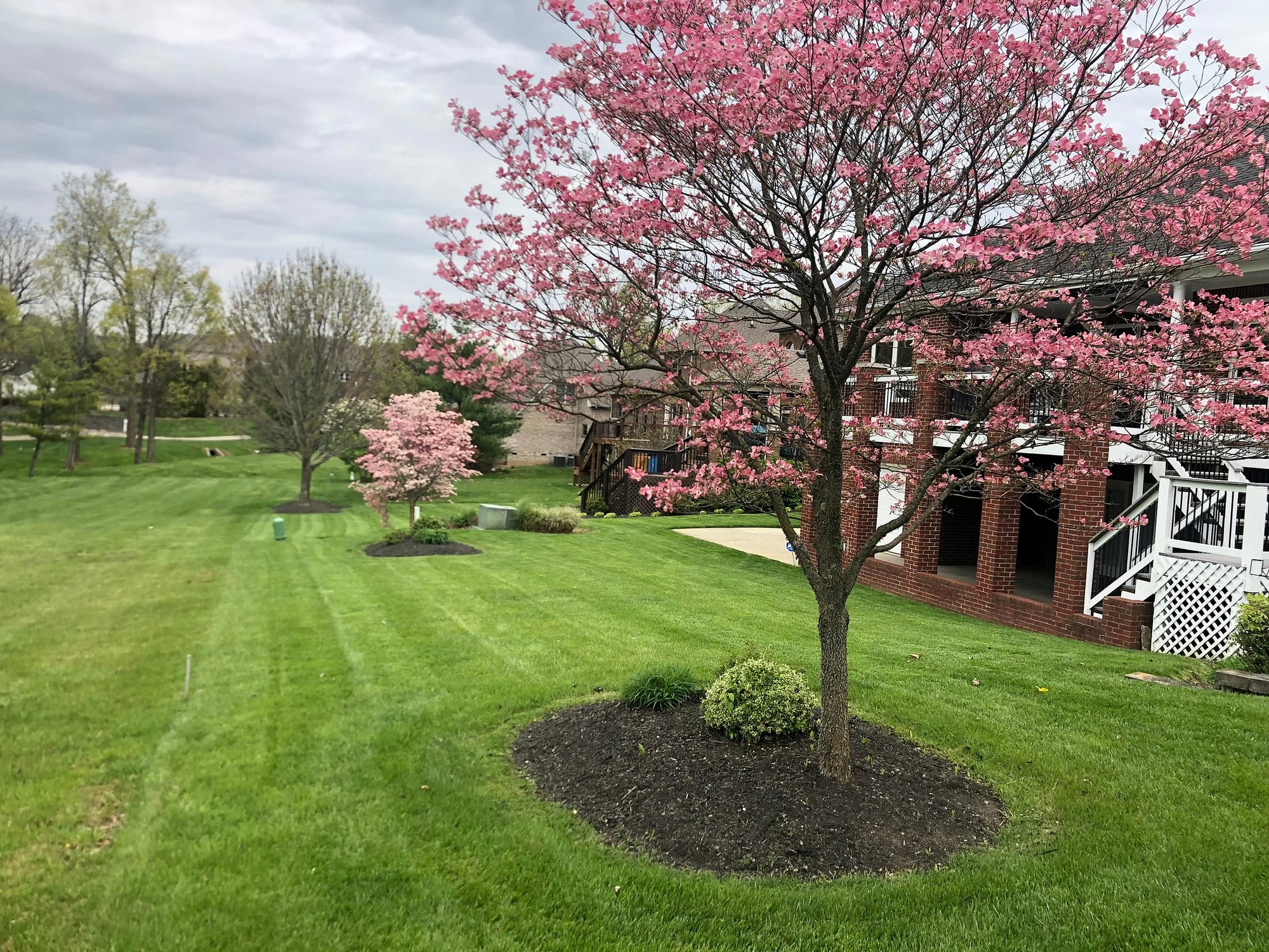 Gallery - Simplicity Landscaping