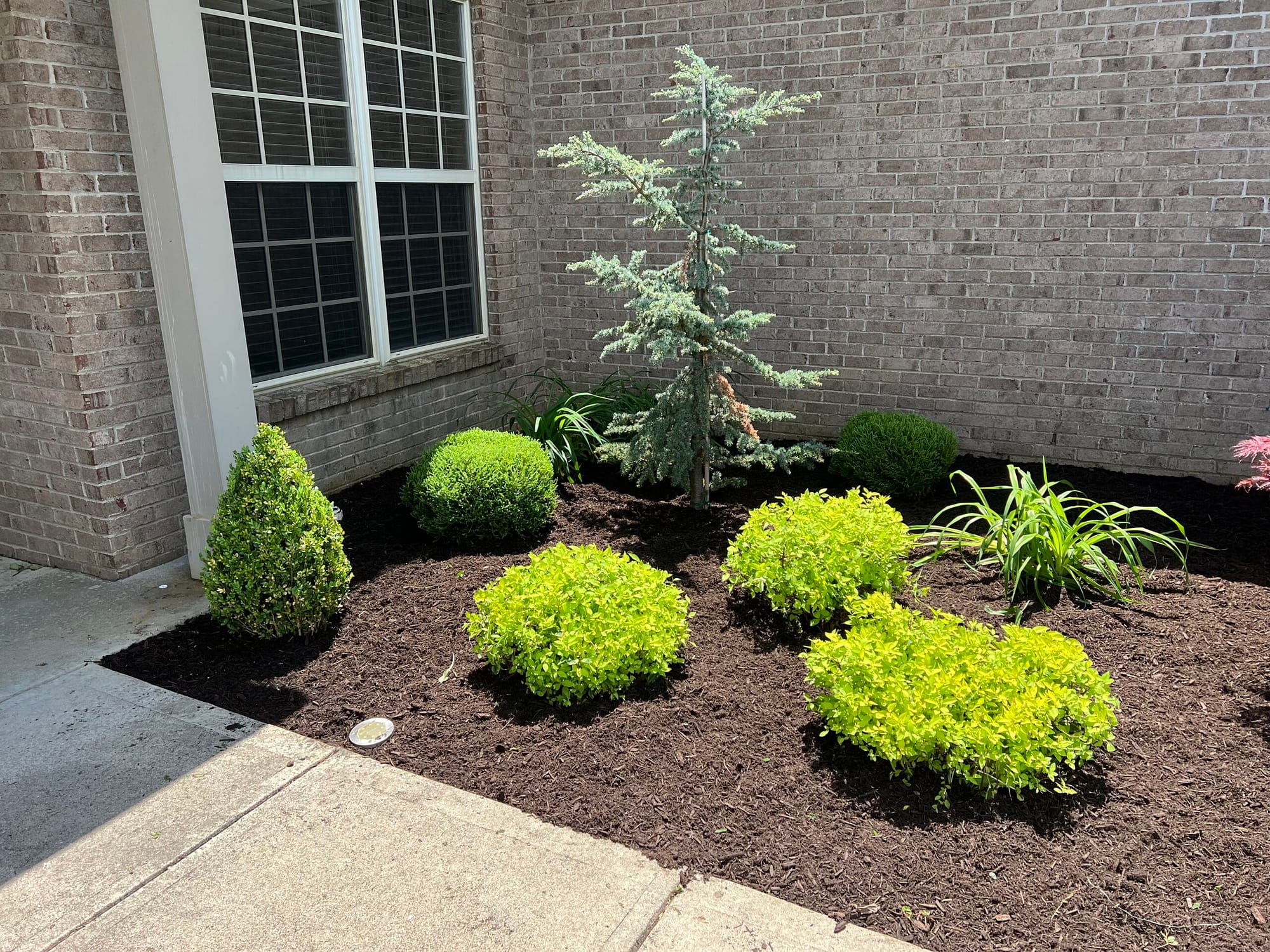 Landscapes - Simplicity Landscaping
