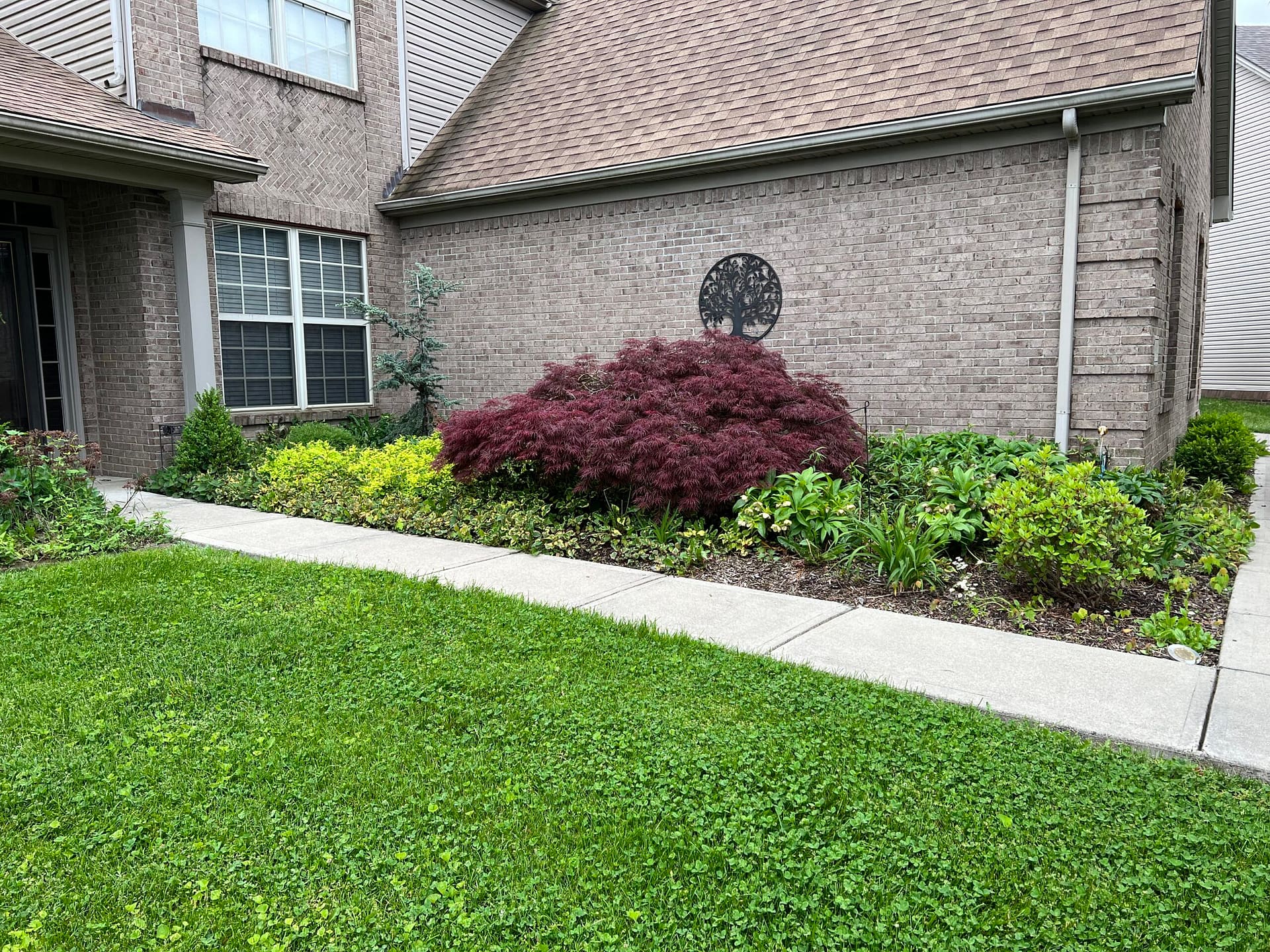 Gallery - Simplicity Landscaping