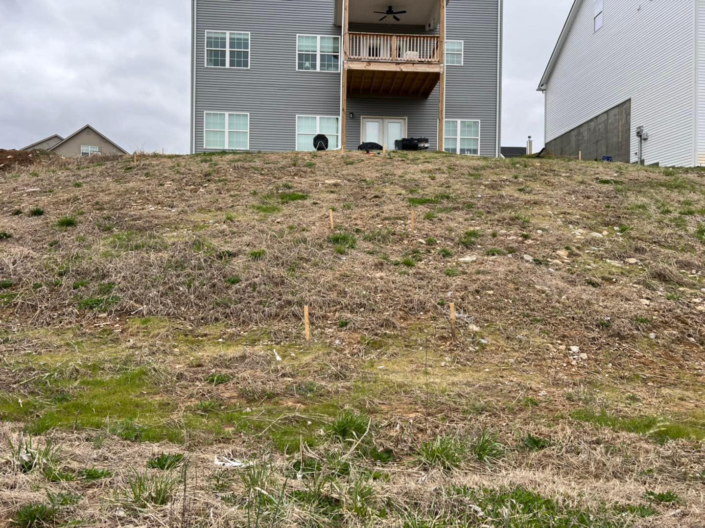 Gallery - Simplicity Landscaping