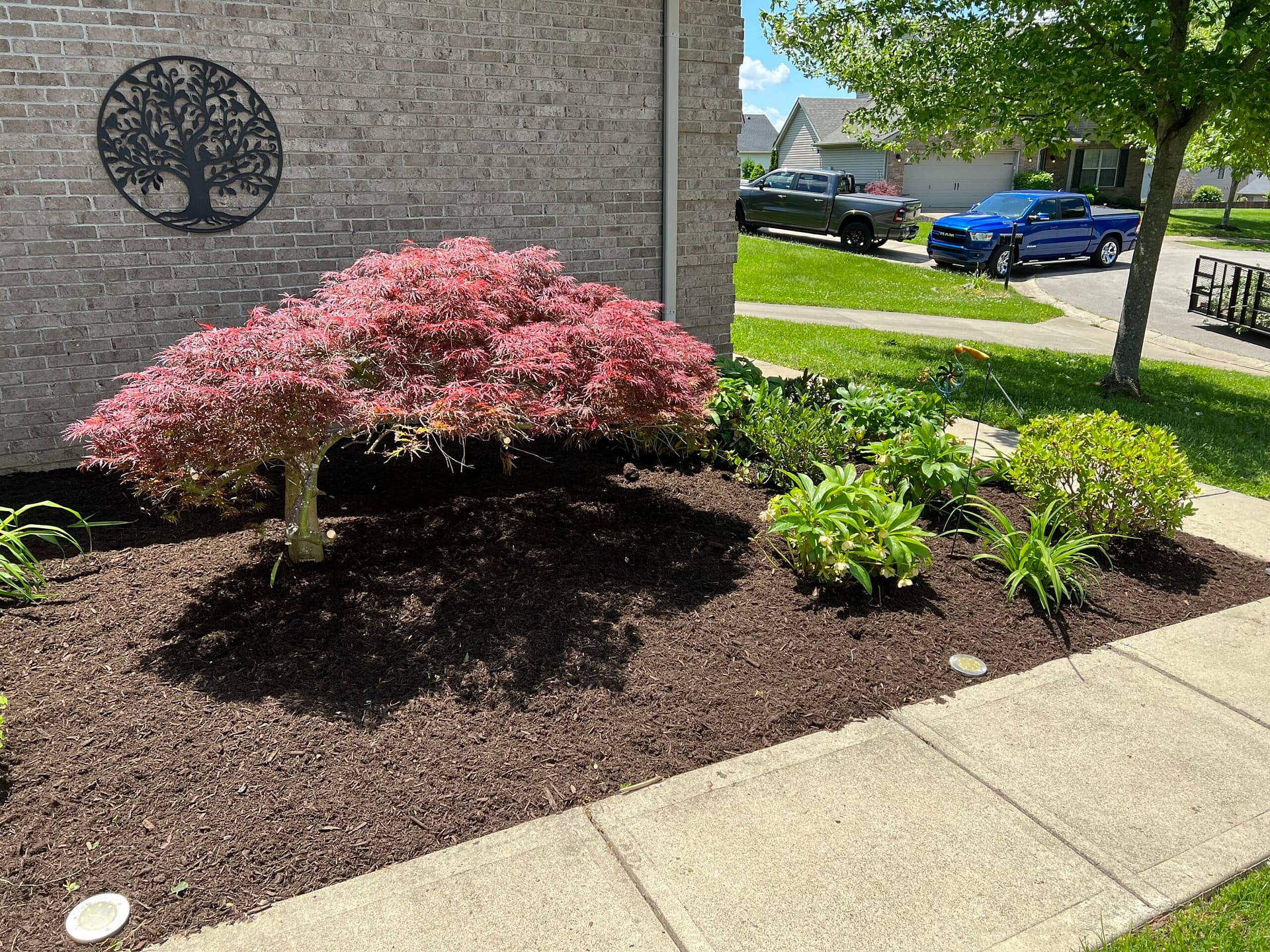 Gallery - Simplicity Landscaping