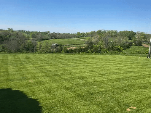 Landscapes Near Me - Simplicity Landscaping